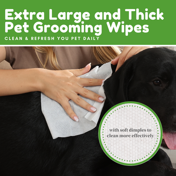 2022 popular sale VIETDAI 3 in 1 dog wipes for pet